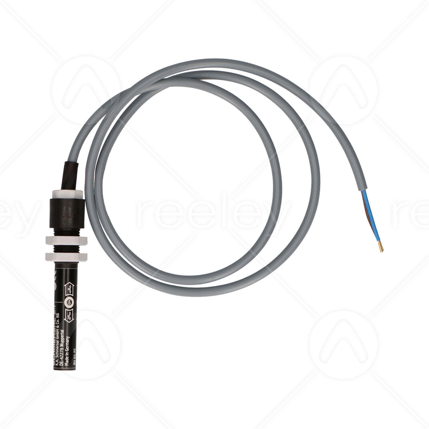 Magnetic Reed Pencil Switch BN65-RZ – Reeley Ltd